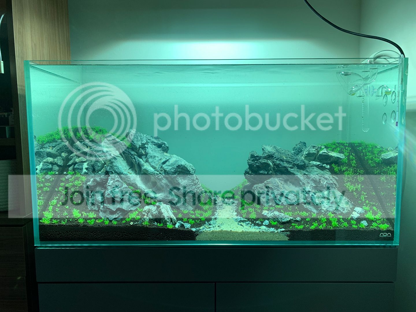 CMLaracy's ADA 90P (final photo shoot) | The Planted Tank Forum