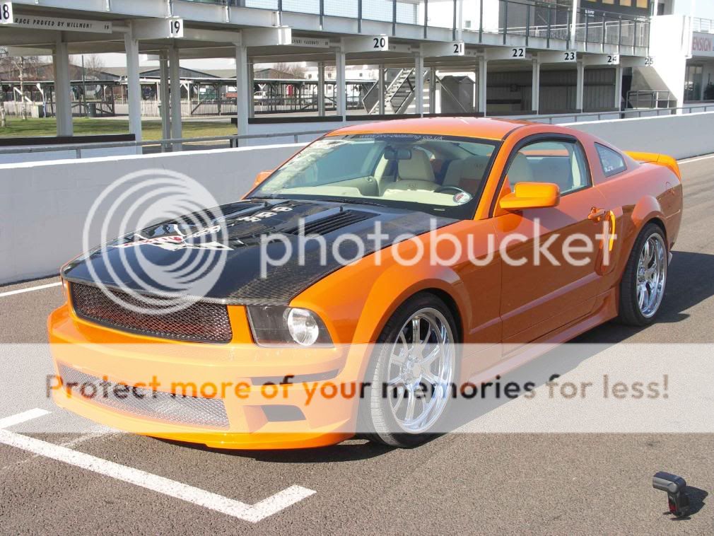 Pro-Detailing: Custom Mustang Zaino Show-Car Prep (pic-heavy ...