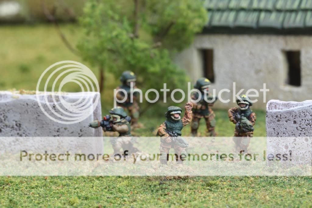 [TMP] "Ambush Alley Games Store Offers GZG Miniatures to US/Canada" Topic