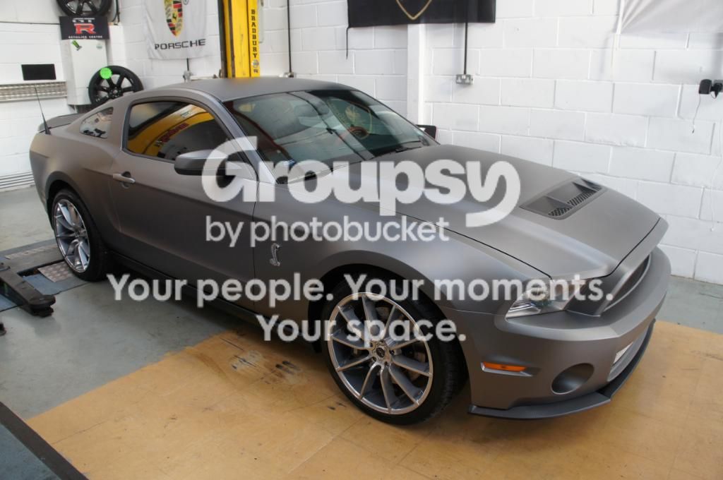 Shelby GT500 wrap and tints.... | Page 2 | Detailing World Forum
