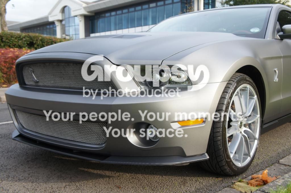 Shelby GT500 wrap and tints.... | Detailing World Forum