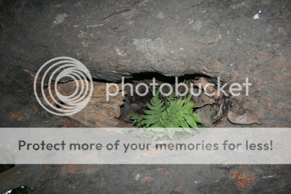 Natcher Pictures, Images & Photos | Photobucket