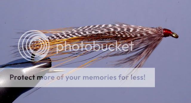 Brown owl streamer - Fly Tying - Maine Fly Fish