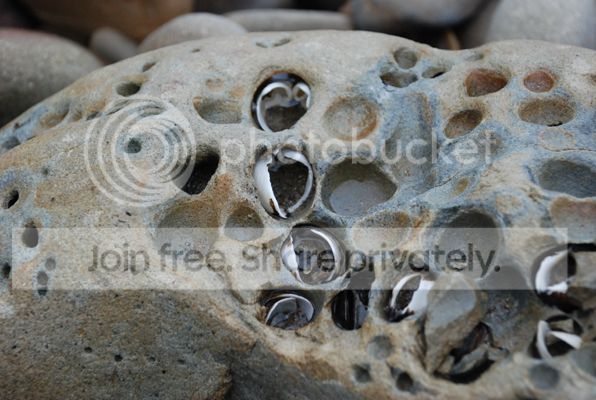 What causes rocks to form like this? What are they? > General ...