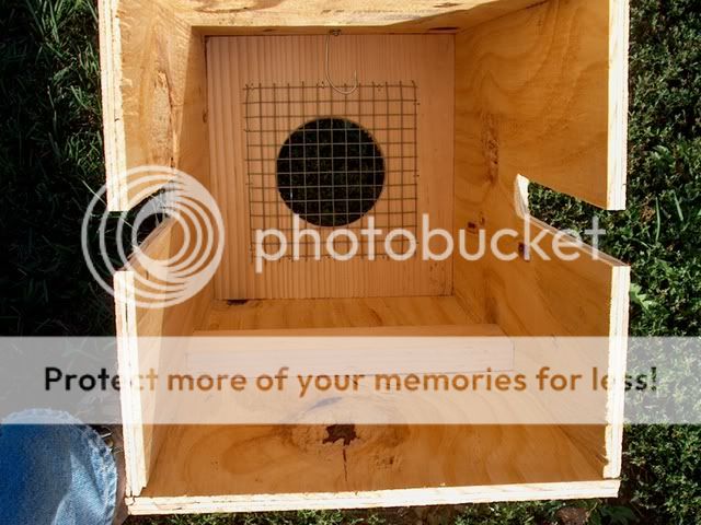 DP Coon Box | Hunting Nebraska Outdoor Forums