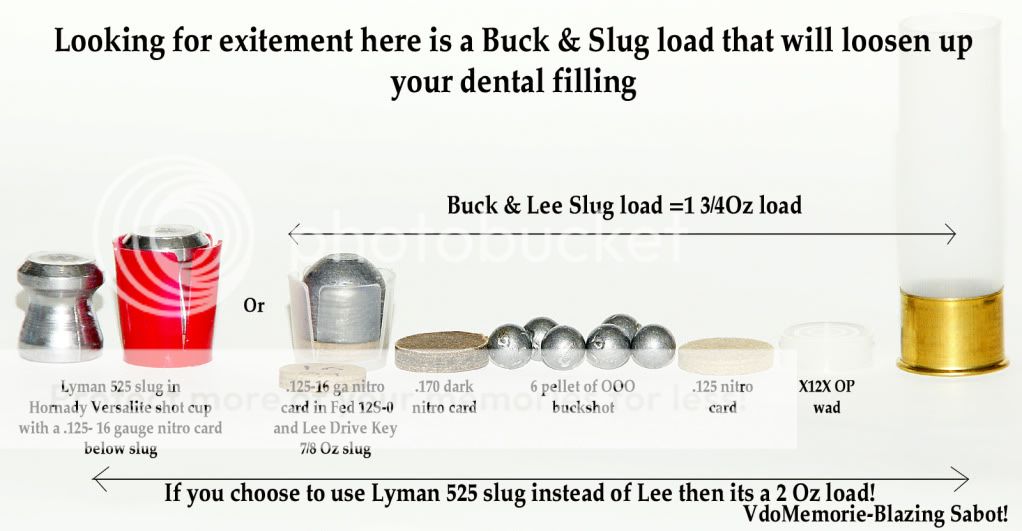 VdoMemorie's Blazing Buck & Slug! | Shotgun Forum